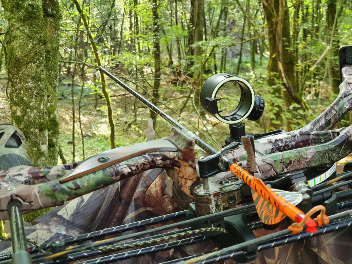 Renew membership | FBA